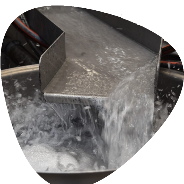 Iniciativas sostenibles – Permoda LTDA