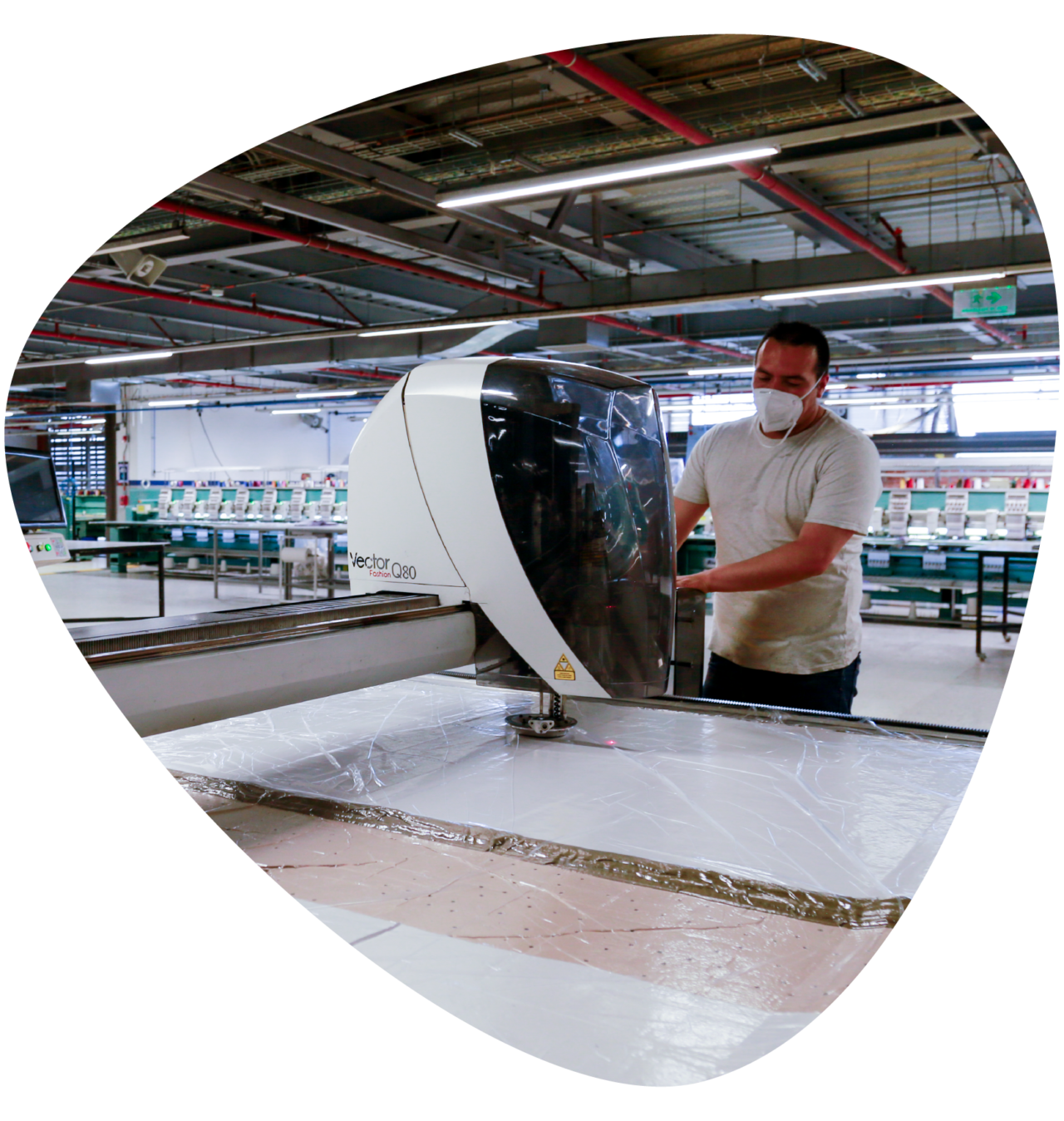 Processes – Permoda LTDA